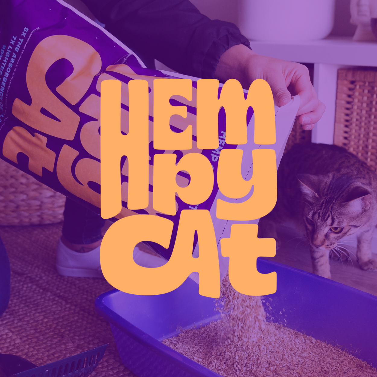 HempyCat Premium Hemp Cat Litter – HEMPALTA